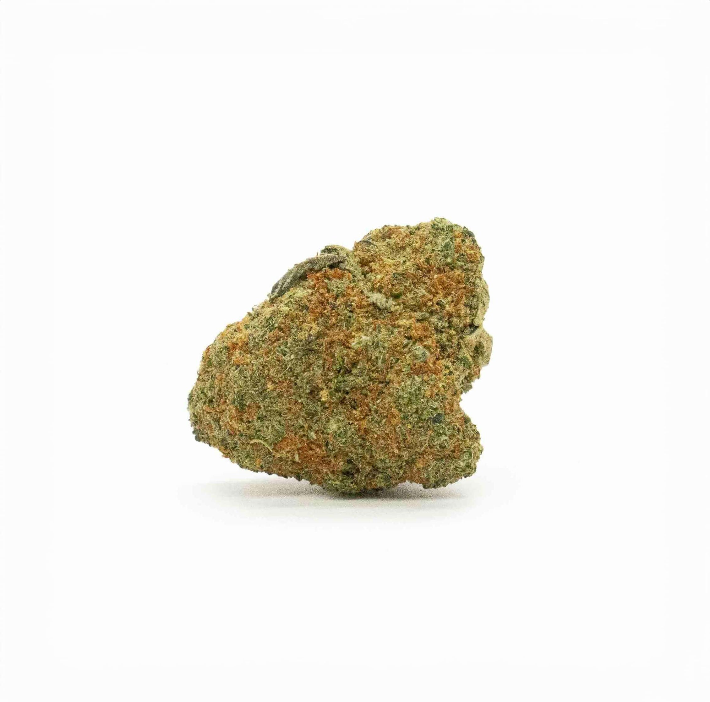 Le cannabis, c’est quoi ? Décryptage complet – CBD Bicyclette